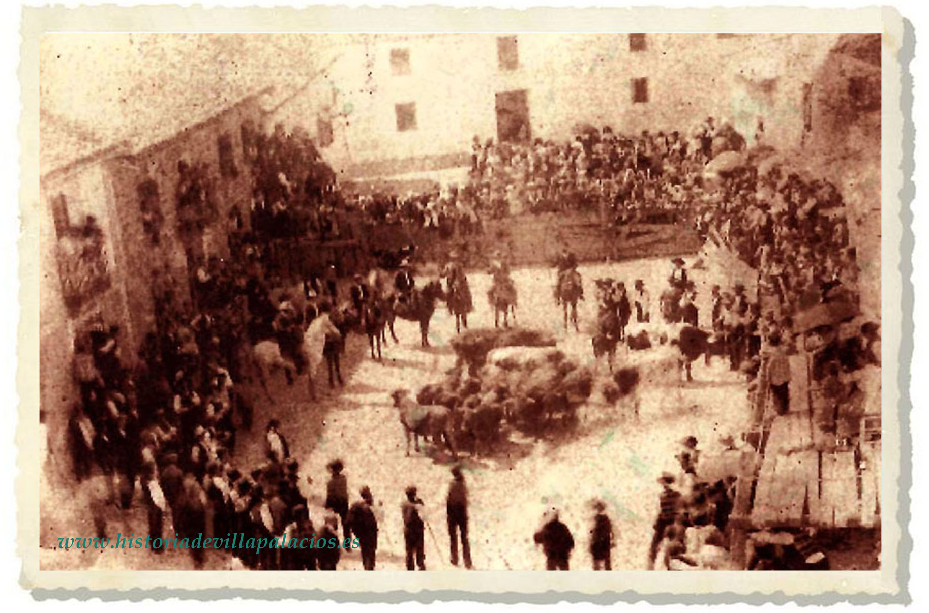 Temas.toros